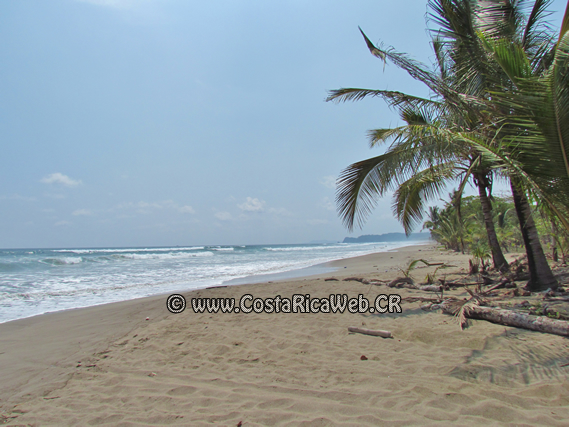 Playa Coyote Costa Rica - Mapa, Fotos, Video